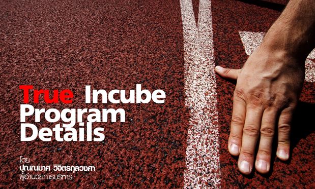 คุยกับทีม True Incube "ขอแค่เจ๋งจริงๆ รับรอง True ช่วยดันสุดตัว" | Blognone